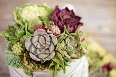 The Party Hut | Childrens Party Supplies | Toowoomba | Party Shop